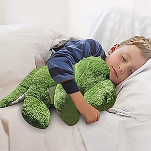 Mewkou 3.5 LB Dinosaur Weighted Stuffed Animals, 24 Inch Weighted Plush Animals Dino Plush Throw Pillow, Super Soft Cartoon Hugging Toy Gifts for Bedding