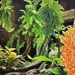 POPETPOP 3pcs Climbing Pet Box Rattan Suction Cup Artificial Plants Plant Ornament for Reptile Plants for Reptile Tank Reptile Fake Leaves Reptile Fake Plant Fake Plant Decor Reptile Plants