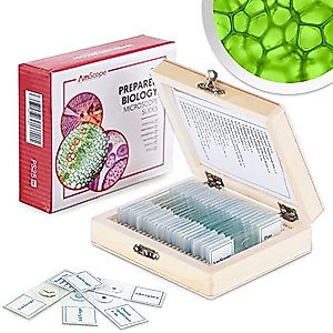 AmScope PS25 Prepared Microscope Slide Set for Basic Biological Science Education, 25 Slides, Includes Fitted Wooden Case Brown