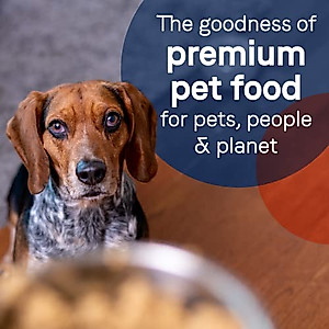 Canidae Pure Limited Ingredient Premium Adult Wet Dog Food, Duck & Turkey Recipe, 13 oz. (Case of 12), Grain Free