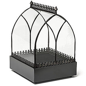 H Potter Terrarium Wardian Case Glass Succulent Plant Container Planter WAR142