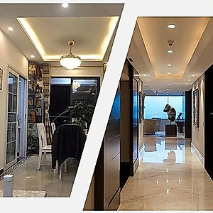 DAKWA 3W Spotlight Aluminum Metal COB Recessed Ceiling Light 3000K/4000K/6000K Selectable Daylight for Home (Size : 6500K White Light)