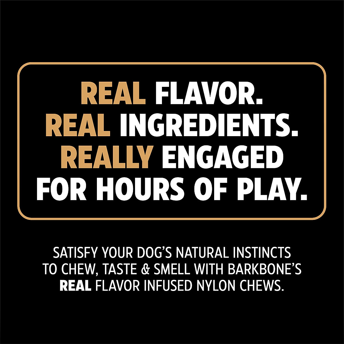 Pet Qwerks Zombie BarkBone - Nylon Dog Bone for Moderate Chewers - Bacon Flavor - 4"
