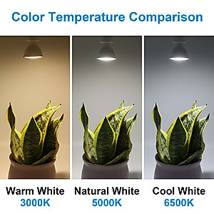 ORALUCE GU10 LED Bulbs, 6 Watt Equivalent to 50W Halogen Light Bulb, Non-dimmable, 3000K Soft White,120 V, 480 Lm, 120° Flood Beam Angle, MR16 Shape for Recessed, Track Lighting, Pack of 6