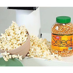 JOLLY TIME Popcorn Bags, Popcorn Machine Accessories for Fairs, Movie Nights, Concessions, 1oz, Bulk Pack of 1000