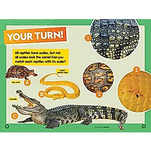 Reptiles (National Geographic Kids Readers, Level 1/Co-Reader)