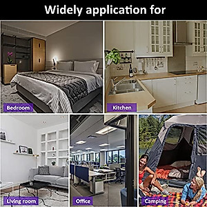 Careland Plug in Mosquito Zapper Lamp Indoor Use Electric Bug Zapper Fly Insects Trap with UV Light Attractant