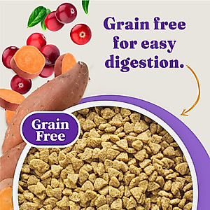 Halo Holistic Indoor Cat Food Dry, Grain Free Cage-free Chicken Recipe for healthy weight support, Complete Digestive Health, Dry Cat Food Bag, Adult Formula, 6-lb Bag