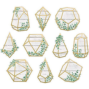 Teacher Created Resources Eucalyptus Geometric Terrariums Accents (TCR8475)
