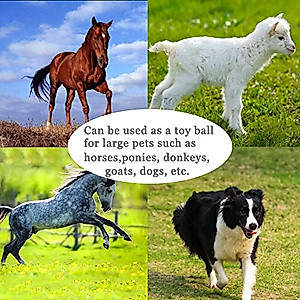 Chyesong Horse Ball Training Toy, Anti-Burst Horse Exercise Ball Toy with Inflator Pump for Horse Lamb Goat Enterainment Toy Ball (22 Inch, Blue)