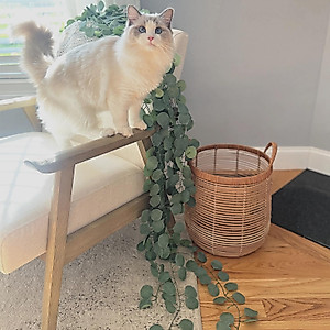 CQURE 14 Pack Eucalyptus Garland, Artificial Greenery Garland Spring Garland Faux Eucalyptus Leaves Table Garland Vines for Wedding Backdrop Fireplace Arch Door Wall Room Decor（98FT）