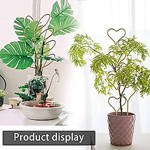 2Pcs Indoor Pot Plant Climbing Garden Trellis Gold Anti-Rust Metal Love Heart and Leaf Shaped Vines Climbing Support Bracket is a Creative Tool Gift for Gardening Lovers