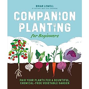 Companion Planting for Beginners: Pair Your Plants for a Bountiful, Chemical-Free Vegetable Garden