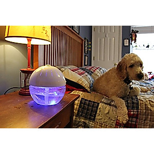 EcoGecko Earth Globe- Glowing Water Air Washer and Revitalizer with Lavender Oil, White (75606-White)