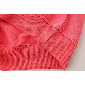 Bumeex Toddler Girl's Sweatshirt Clothes Outfit,Rainbow Crewneck Christmas Clothing Pink 3t