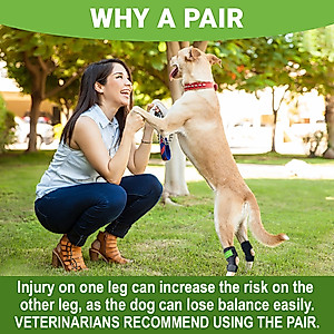 CATUPUNIS 2PCS Dog Braces for Back Leg for Support. Dog Arthritis Brace. Hind Leg Support for Dogs. Leg Brace for Dogs Back Leg. Dog Leg Brace. Dog Back Leg Support Brace. Dog Hock Brace Rear Leg (L)