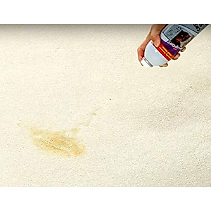 Capture Carpet & Rug Dry Cleaner w/Brush (1 lb) Carpet Spot Eliminator Stain Remover, Spray Cleaner 16oz (2 Pack) Bundle