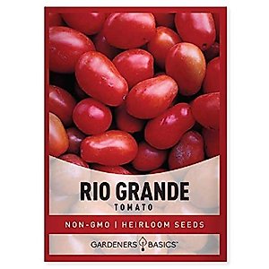 Rio Grande Tomato Seeds for Planting Heirloom Non-GMO Seeds for Home Garden Vegetables Makes a Great Gift for Gardening by Gardeners Basics