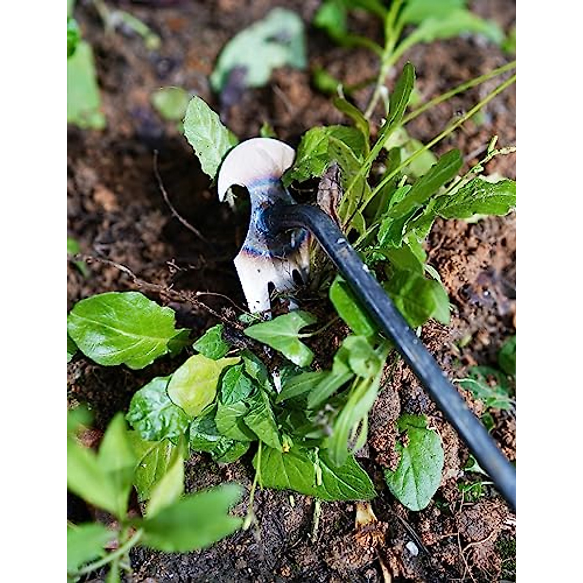 New Weeding Artifact Uprooting Weeding Tool, 16" Weed Puller, 4 Teeth Manganese Steel Forged Hand Weeder, Dual Purpose Hand Remover for Garden Yard Farm Weed Removal for Garden Yard Farm Weed Removal