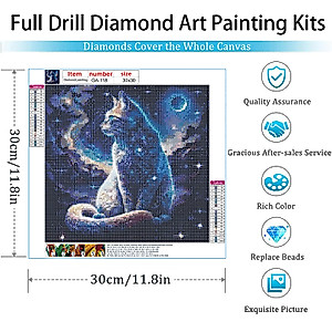 GemZono DIY Diamond Art Kits with Round Diamond,5D Cat Diamond Painting Kits Diamond Art Black Cat Diamond Painting Kits for Adults Diamond Dots Cat Crafts for Family Home Wall Decor Gifts 12x12inch