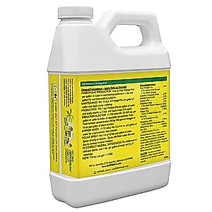 Foliage-Pro 32 oz. 9-3-6 Plant Food,