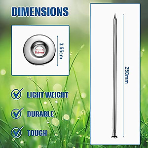 Hotop 8 Sets Patio Rug Stakes Outdoor Furniture Stakes RV Patio Mats Stakes RV Garden Furniture Stakes Outdoor Mats Rugs Holder for Camp Rug Outside Mat Carpet Tent (6 Inches)