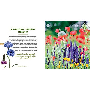 Mini Meadows: Grow a Little Patch of Colorful Flowers Anywhere around Your Yard