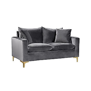 Meridian Furniture Naomi Collection Modern | Contemporary Grey Velvet Upholstered Loveseat with Stainless Steel Base in a Rich Gold or Chrome Finish, 633Grey-L