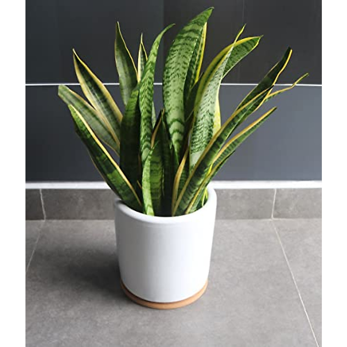 Cork Round Trivets, 7.5 Inches Cork Coaster for Hot Dishes, Hot Pots and Pans Holder, Plant Trivets Outdoor Decorative, 2-Pack