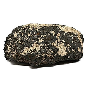 Large Naturally Magnetic Lodestone 1/2 to 3/4 Pound