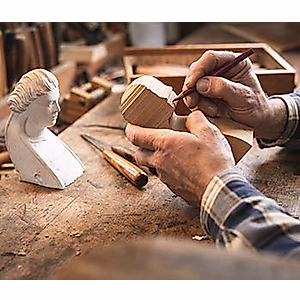 CanUsa Brand Basswood Carving Wood Blocks from Wisconsin USA. Whittling Wood Carving Wood Blocks for Carving. Contains Two Large Basswood Carving Blocks and Eight Small.