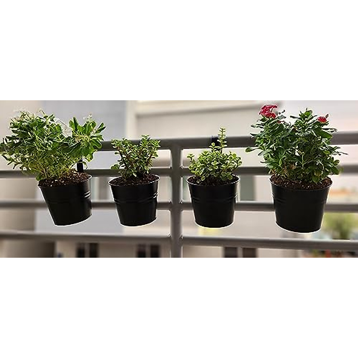 GARDEN4LIFE 6.25 Inch Large Iron Hanging Plant Pot Set - Planters for Indoor Plants & Outdoor Flora w/Drainage Hole, Detachable Hook - Ideal Balcony Planters Fence Railing Hanging Pots - 4Pcs Black