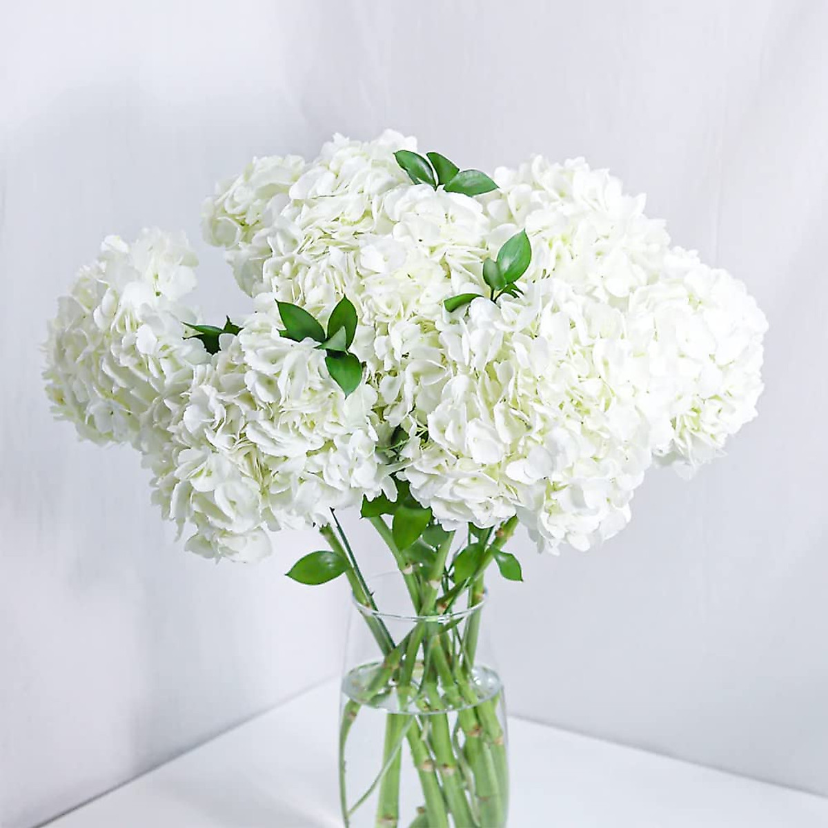 QAUZUY GARDEN 50 Premium Hydrangea Seeds White Hortensia - Attractive Perennial Flowering Shrub Bush Tree - Attract Pollinators & Fast-Growing - Striking Accent Landscape Plant