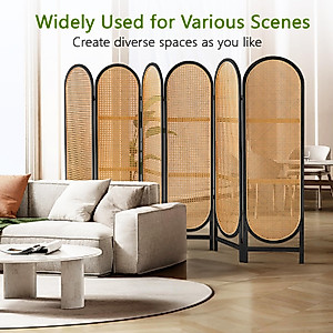 Leesinwing 6 Panels Room Dividers and Folding Privacy Screens, Hand-Woven Rattan Room Divider Wall, Wood Room Divider Freestanding Room Partitions Screen for Home Office Bedroom, Black