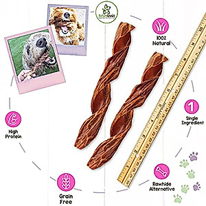 Nature Gnaws Beef Jerky Springs for Dogs - Premium Natural Beef Gullet Sticks - Simple Single Ingredient Tasty Dog Chew Treats - Rawhide Free - 7-8 Inch