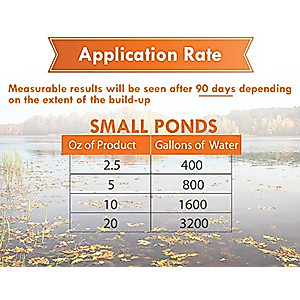 PondWorx Pond Bacteria - Formulated for Large Ponds, Water Features and Safe for Koi - Gallon
