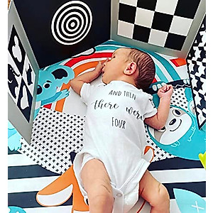 Samuel Sensory Baby Sensory & Development Fold Out Boards, Black and White, Simple Geometric Shapes, Made from 700GSM Card, Stands Independently.