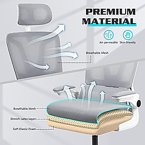 Soontrans Grey Ergonomic Office Chair with Adjustable Arms, Mesh Office Chair with Lumbar Support, 2D Headrest Office Desk Chair, Rocking Ergonomic Chair, Swivel Computer Ergo Chair for Home Office