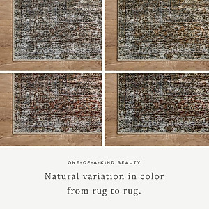Loloi Amber Lewis Billie Collection, Tobacco & Rust 2'-0" x 5'-0" Area Rug – Antique & Distressed Accent Rugs for Living Room, Bedroom, Entryway & Hallway, No Shed High Traffic Area Home Decor Rug