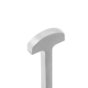 Joyzan Eel Spike, Kill Fish Nail Stainless Steel T Shape Sushi Chef Tools Hand Household Polished Killing Carp Catfish Slender Sashimi Knife Japanese Style Shop Home Kitchen Restaurant Supplies