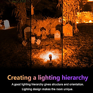 LOXYEE PAR38 Flood Orange Light Bulb,2 Pack-Dimmable,E26 Base Orange Flood Light Outoor(20W Replace to 200W),Orange Light Bulb for Outside,Halleween,Orange Decor,Christmas,Holiday Lighting.