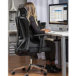Halter Ergonomic Office Chair with Lumbar Support, Executive Mesh Desk Chair Computer Chair with Swivel, Headrest, and Armrests, Height Adjustable Comfortable Task Chair with Rolling Casters, Black