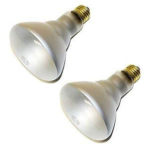 2pk 65w Reflector Flood