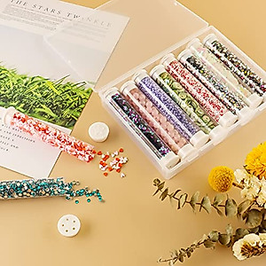 10 PCS Clear Plastic Tube Bead Containers,Transparent Plastic Empty Storage Tube Bead Container Set Organizer Boxes with Lid Test Bottles Clear Embellishment Storage Tubes for Crafts Storage Projects