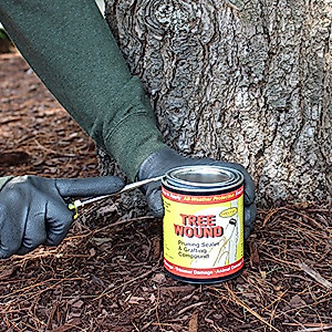 Tanglefoot Tree Wound Pruning Sealer & Grafting Compound