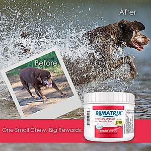 Rematrix Joint Support Supplement for Dogs - Glucosamine, Chondroitin, MSM, Omega-3 - Hip and Joint Pain Relief and Support for Dogs - Made in USA - 60 Soft Chews