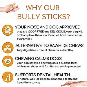 Best For My Pets 12-Inch Odor Free Bully Sticks All Natural Dog Treats Fresh Long Lasting Chews, 8-Ounce Bag