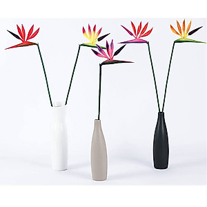 8 Pack 21-1/2 Inch Artificial Flowers Bird of Paradise,Green Plant for Home Garden Decoration Office Verandah Wedding Decorations (Red)