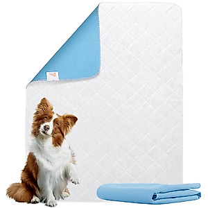 Dog Pee Pads Washable, 65"x48" Large Absorbent Puppy Playpen Pads for Indoors Dogs Potty, Puppy Housebreaking Essentials Waterproof Rugs for Pets, Reusable Bed Pads for Incontinence, Kids, 1 Pack