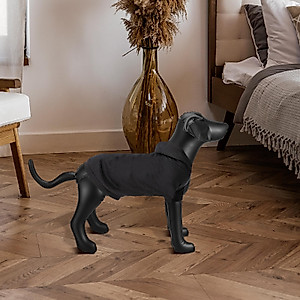 Mobestech Costumes Inflatable Dog Clothes Display Model Dog Party Decorations Self Standing Inflatable Dogs Dog Mannequin Inflatable Dog Clothing Model Stage Prop Toy PVC Pet